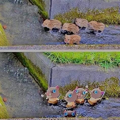 A Inosuke Ghibli Community