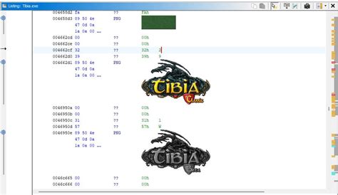 Possible Leak Of Tibia Classic Rmmorpg