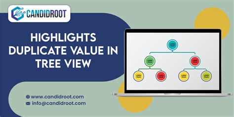 🔄 easily identify candidroot solutions pvt ltd