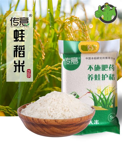 青蛙养殖 浙江吴传意青蛙养殖 青蛙养殖培训 浙江长兴创意生态农业发展有限公司 浙江长兴稻蛙香农业科技有限公司