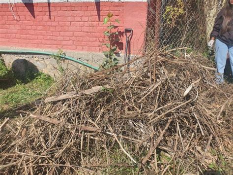 Sanskar Jangam On Linkedin Biochar Sustainableagriculture