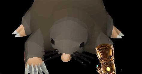 The Infinity Mole Album On Imgur