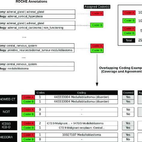 Experimental Set Up And Overlapping Coding Example Showing Coverage