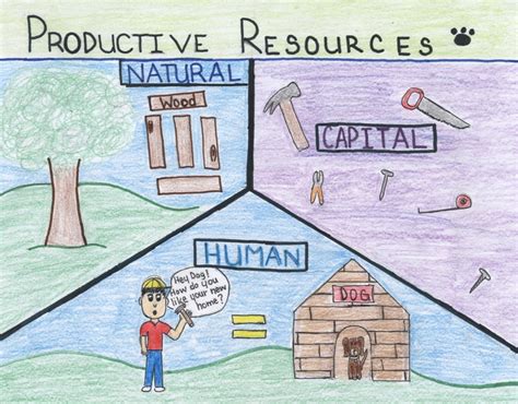 Chapter 3 Productive Resources Abrahams Economics Scrapbook