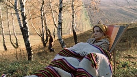 Киноляп с ковром из фильма Москва слезам не верит сочли гениальной задумкой