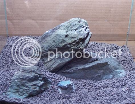 Jay973s Pico Journal Aquatic Plant Forum