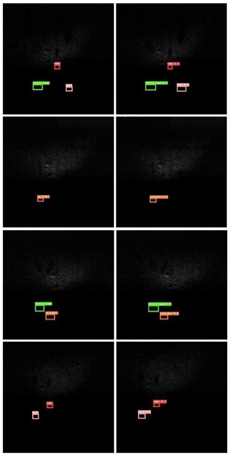 Aquayolo Enhancing Yolov8 For Accurate Underwater Object Detection For