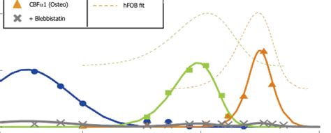 Effect Of Substrate Stiffness On The Differentiation Of Stem Cells A