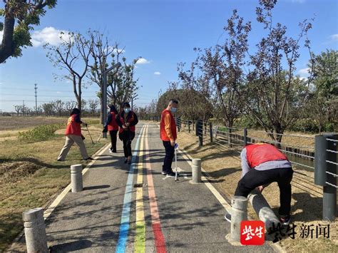 苏州相城胡湾村：党员联户联企，全力扮靓美丽乡村整治环境人居
