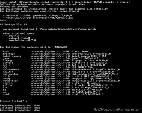 Error Loading Libsite Packagestorchlibcaffe2detectronopsdll“ Or