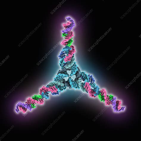 Self Assembled 3d Tensegrity Triangle Molecular Model Stock Image