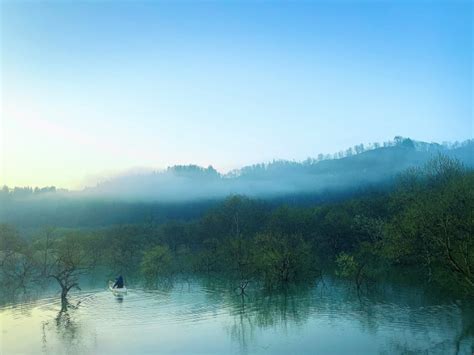 白川湖の水没林フォトライブラリー無料写真ダウンロード