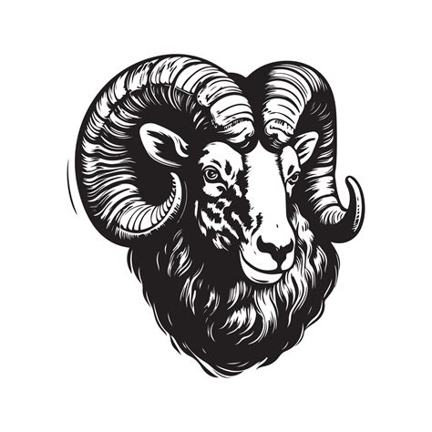 Ram Clip Art Black And White