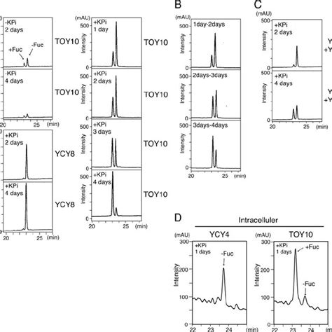 Strategy For Reconstitution Of The Mammalian O Fucosylation And N Download Scientific Diagram