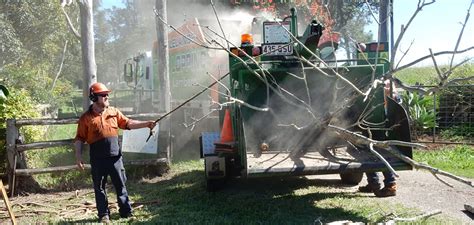 Tree Lopping Atherton Tablelnads