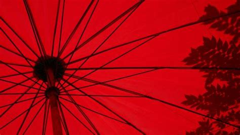 Being An Ally For Sex Workers Rights In France Ippf Europe And Central Asia