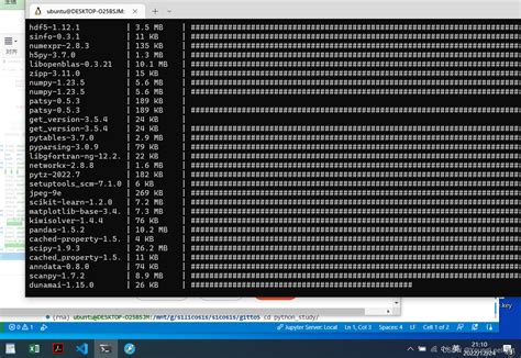 Vscode Jupyter子系统 Python实战 Windows系统下运行python写代码 Windows子系统 Window下