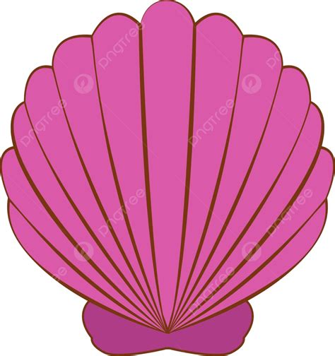 Pink Shellillustrationvector On White Background Pink Water Seashell Vector Pink Water