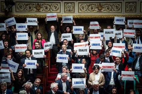 Loi Immigration La Gauche Saisit Le Conseil Constitutionnel Après L