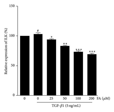 effects of fa on tgf β1 induced expression of ilk and snail in nrk 52e