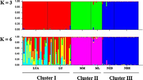 Estimated Genetic Clustering K 3 And 6 Obtained With The STRUCTURE Download Scientific