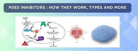 Pde 5 Inhibitors How They Work Types And More