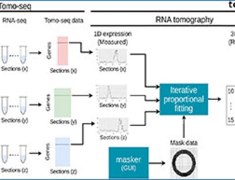 Quickrnaseq Lifts Large Scale Rna Seq Data Analyses To The Next Level