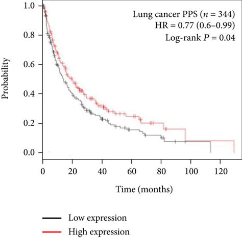 Tumor Suppressive Role Of Cav 1 In Lung Cancer By Km Plot Analysis A Download Scientific