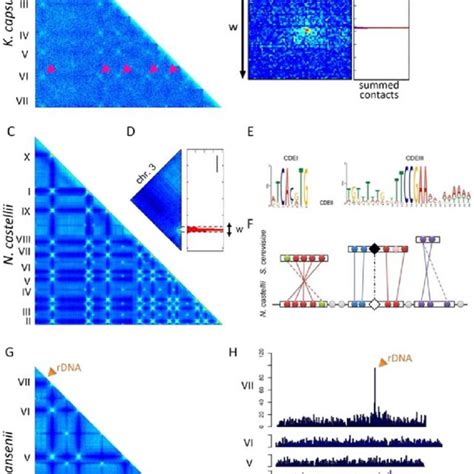 Experimental And Computational Workflow Download Scientific Diagram