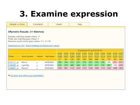 Ppt Gene Function Analysis Powerpoint Presentation Free Download