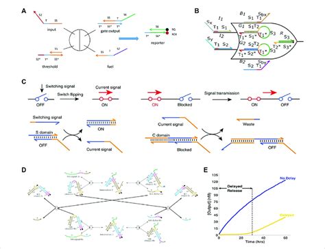 Dsd Logic Gates And Integrated Circuits A The Seesaw Gate It Download Scientific Diagram