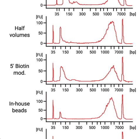 Fragment Length Analysis Of Seven Cdna Libraries Covering Each