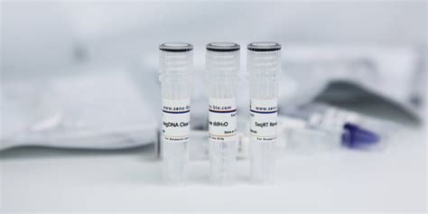 Rapid CDNA First Strand Synthesis Kit T DNA Testing Experts