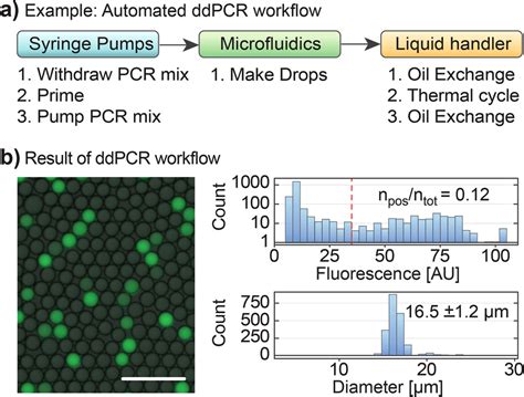 Rad Microfluidic Automation Of Ddpcr A The Ddpcr Workflow Consists Download Scientific