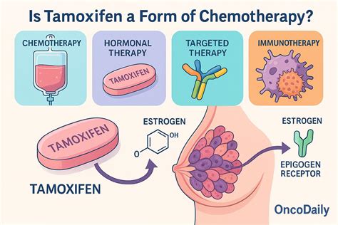 Is Tamoxifen Chemotherapy Understanding Its Role In Breast Cancer
