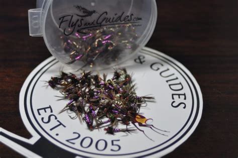 Lightning Bug Nymph Purple Flys And Guides Largest Selection Of