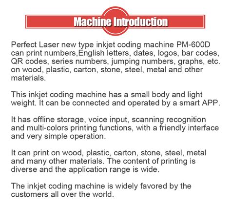 Perfect Laser Portable Handheld Batch Coder Mini Printer
