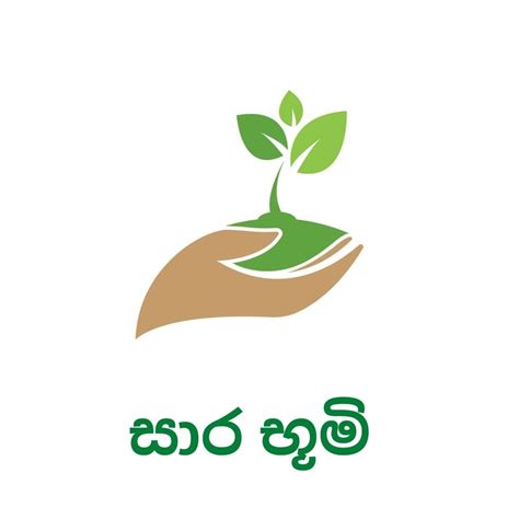 සාර භූමි පොල් වතුර🥥 පොල් දෛනිකව නිවෙස් වල ආහාර පිසිමේදී භාවිතා කරන දෙයක් බොහෝ දෙනා පොල් ගෙඩිය