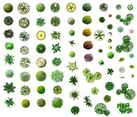 ★photoshop Psd Blocks Tree Plan Psd Blocks ★photoshop Psd Blocks Tree Plan Psd Blocks