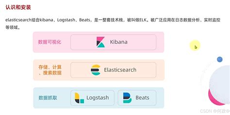 “elasticsearch精英进阶：从零到精通的安装，从kibana到java api，全面掌握crud与dsl查询及聚合技术全攻略