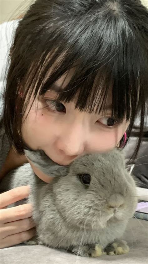 Cute Bunny Wallpaper