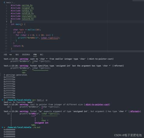 vscode gdb 查看内存的值 vscode查看内存数据 csdn博客