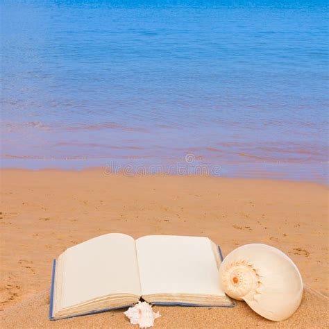 Open Boek Op Een Overzeese Kust Stock Afbeelding Image Of Ontspan Vlucht 31666141