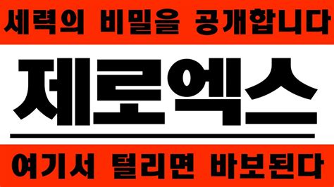 제로엑스 코인🏆역대급 불장에서 수익 싹쓸이하자 제로엑스코인제로엑스코인전망 Youtube
