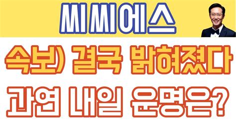 씨씨에스 초전도체 주가전망 속보 결국 밝혀졌다 과연 내일 운명은 Youtube