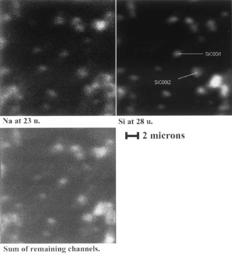 Mass Resolved Image Of Terrestrial Sic Particles Particles Of 1 2 M Download Scientific