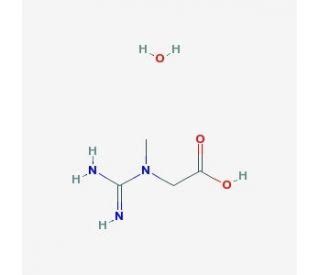 Creatine Monohydrate CAS SCBT Santa Cruz Biotechnology