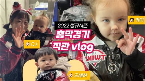 ⚾ Vlog 이럴거면 이기지 말지 그랬어 엘지팬의 잠실야구장 Kt전 직관 브이로그 22시즌 마지막 홈경기 트윈스
