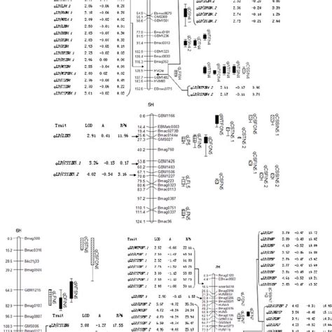 Linkage Map Showing Conditional Qtl And Unconditional Qtl Detected