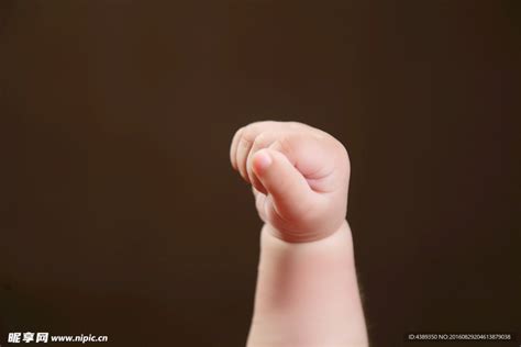 婴儿小手摄影图儿童幼儿人物图库摄影图库昵图网